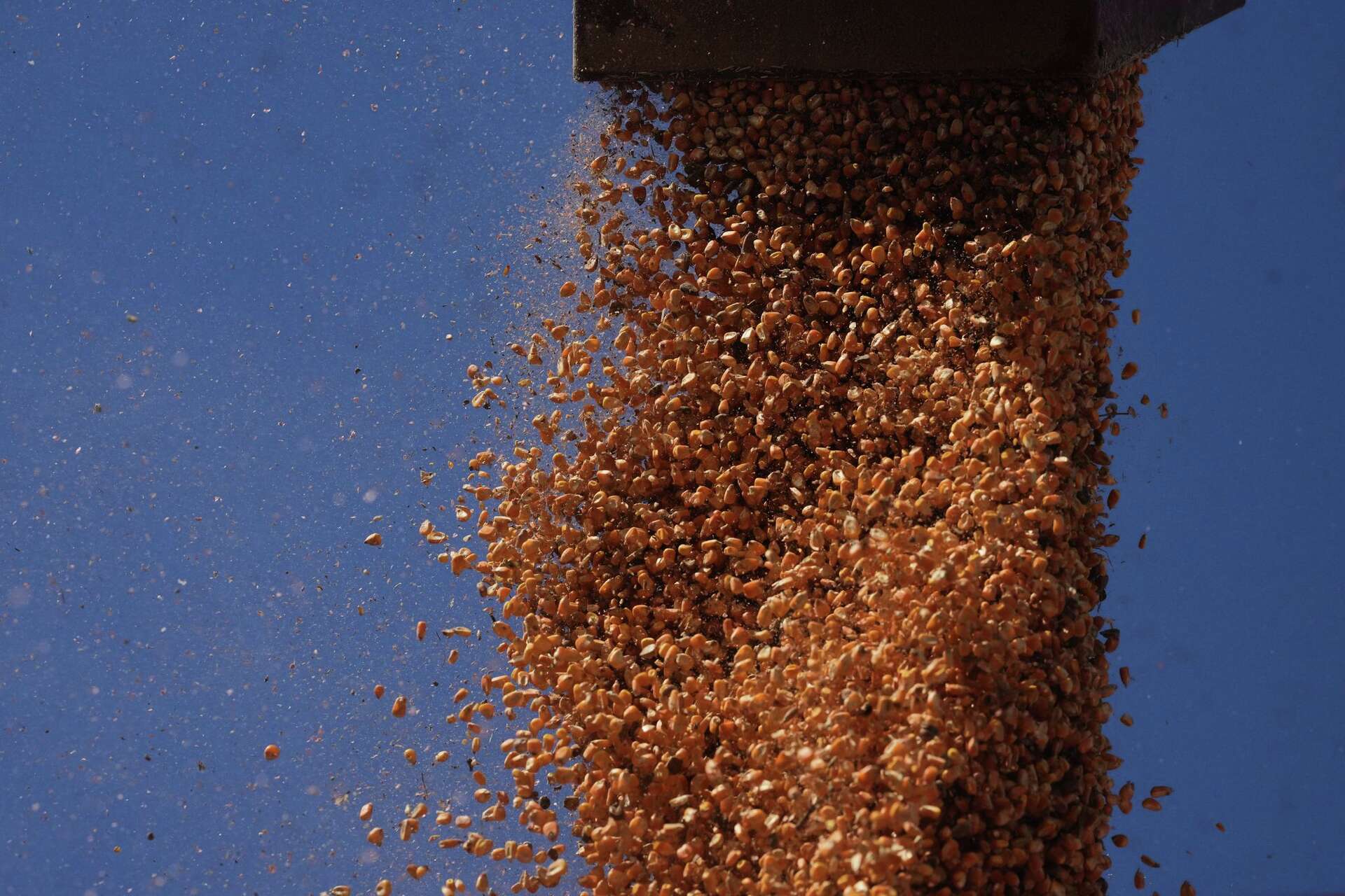 Mercosur y UE se alistan para la firma de histórico pacto comercial ...