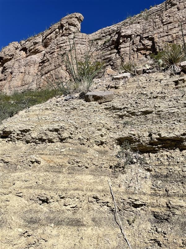 Max Domi scores in overtime to cap Maple Leafs' rally in 4-3 win over Jets