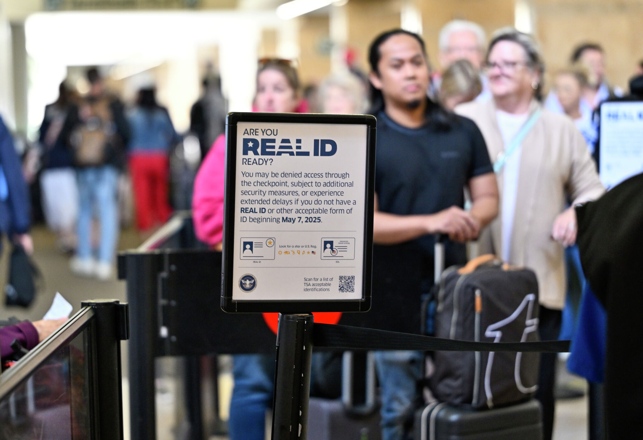 Mummified cheetahs found in Saudi caves shed light on lost populations
