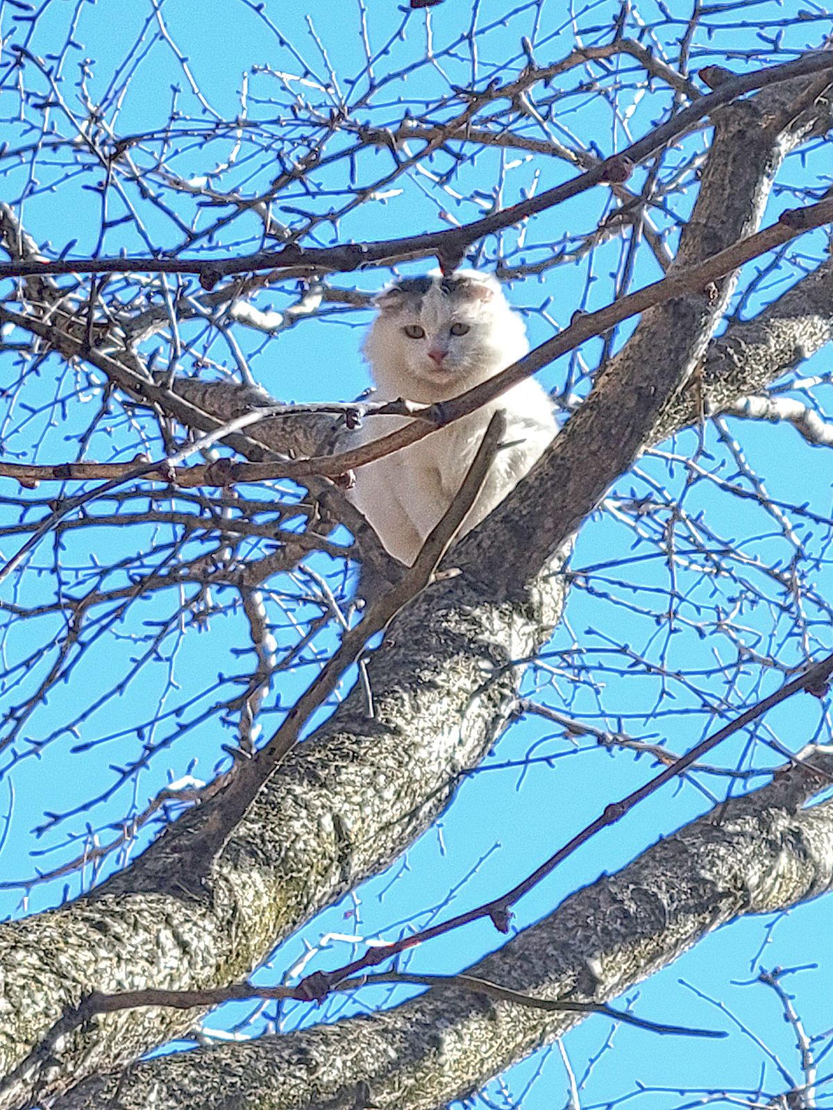 Winning numbers drawn in Monday’s Arizona Triple Twist