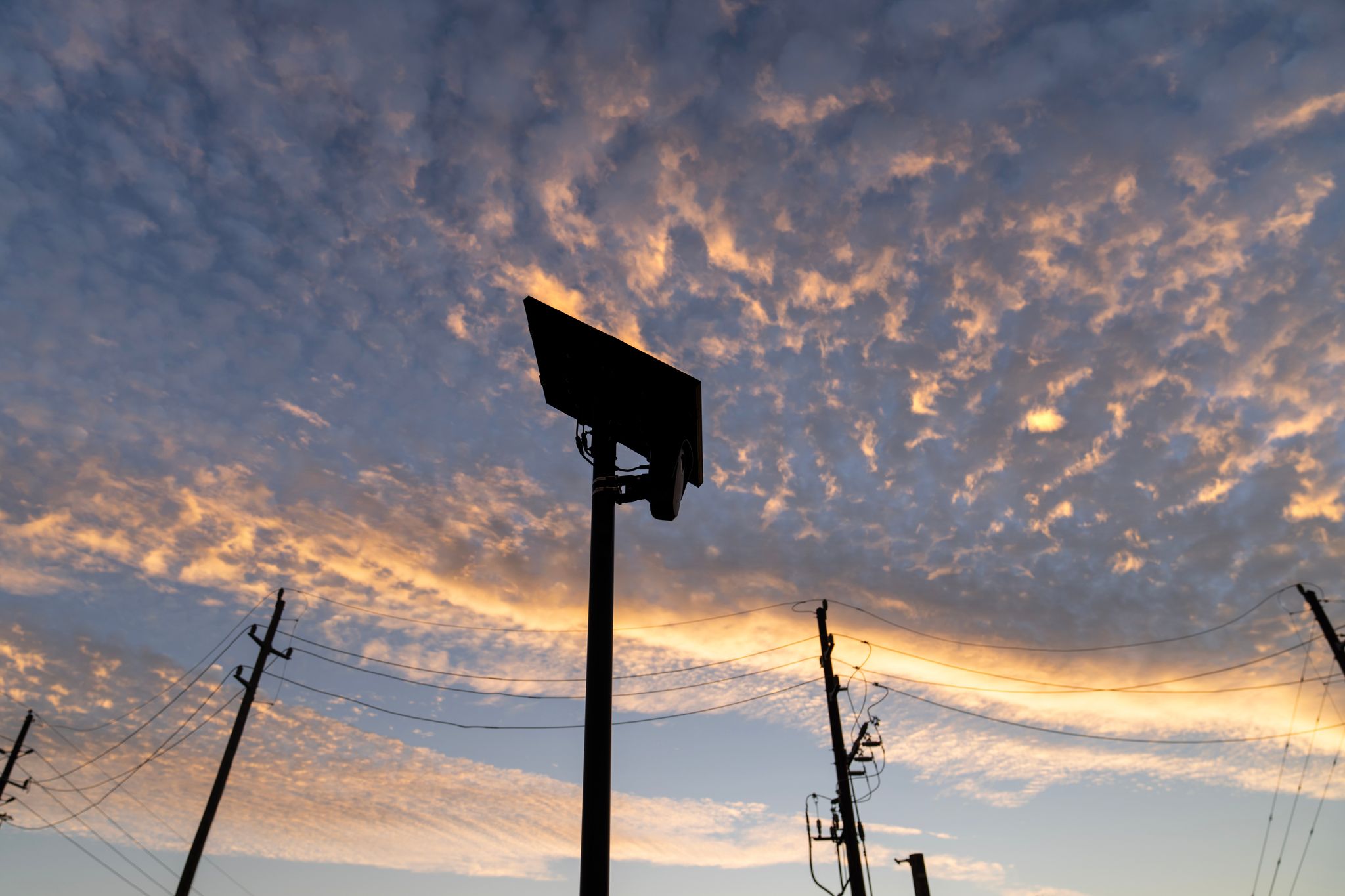 Washington scrambles to regulate license-plate cameras that could aid ...