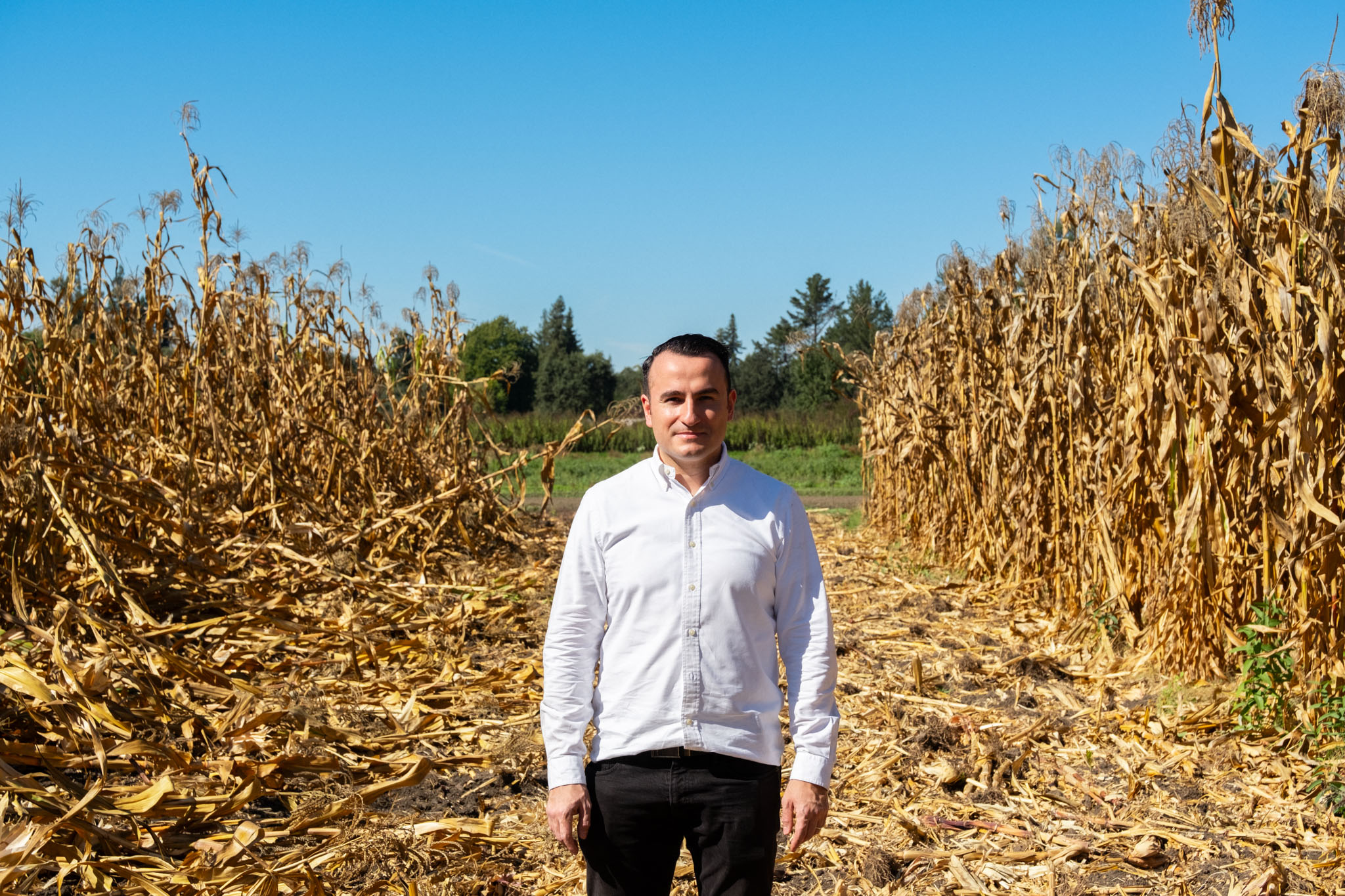 Texas vs LSU women's basketball game score: Longhorns beat Tigers