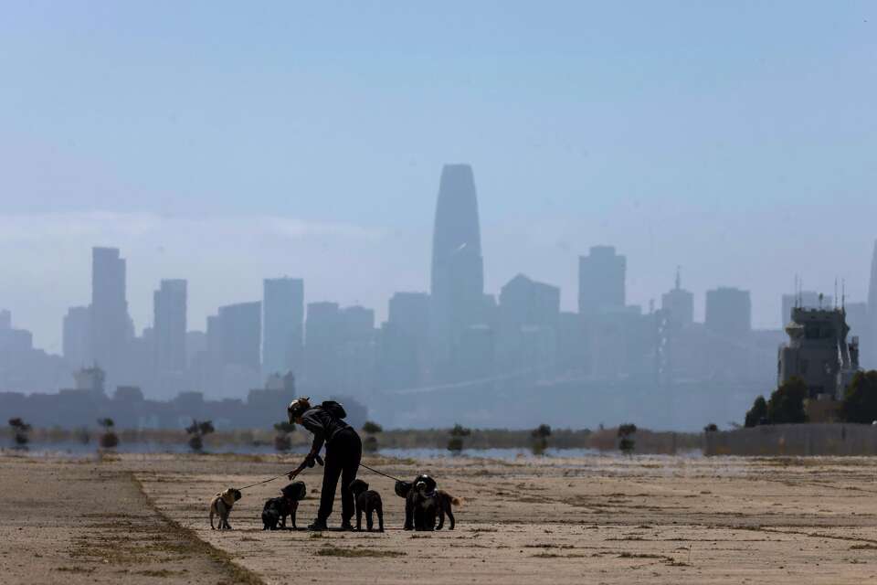 SF hit 71 degrees on Friday. Will MLK Day weekend be as gorgeous?
