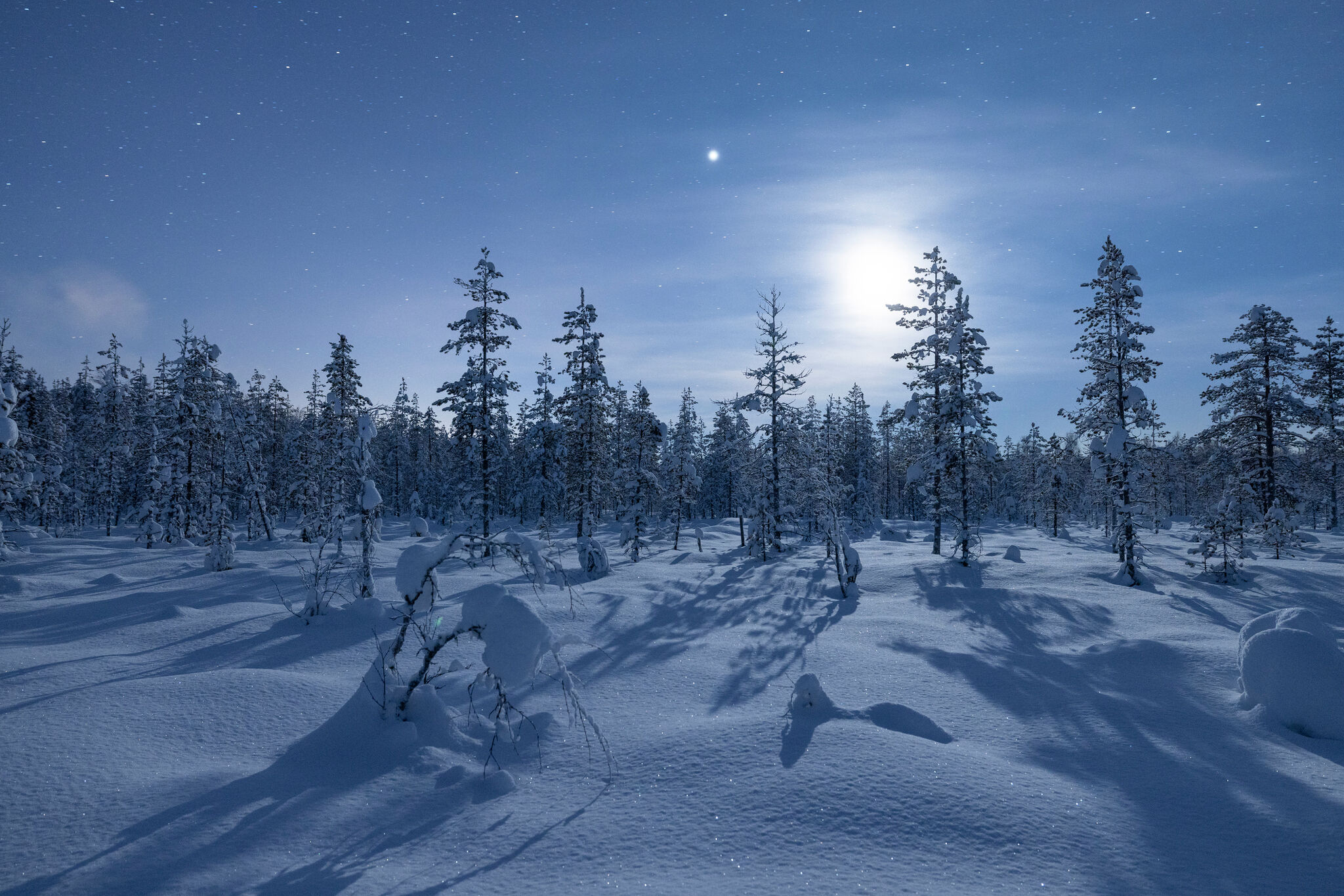 Horoscope for Saturday, 1/24/26 by Georgia Nicols