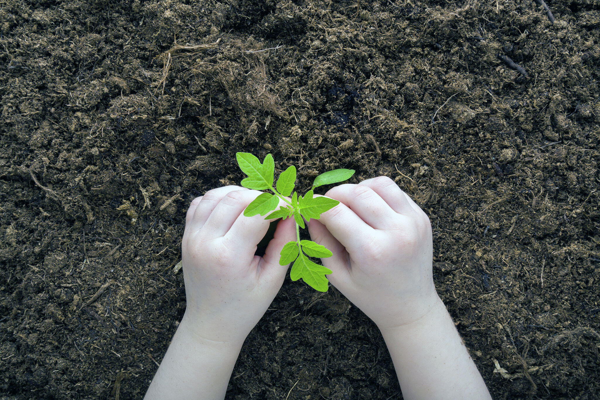 Mexican president highlights 'compelling results' in crackdown of ...