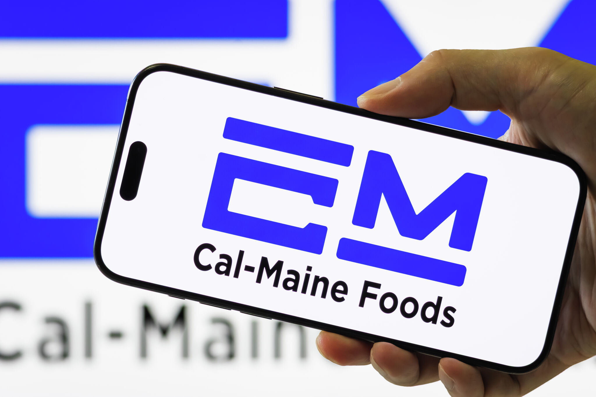 Miami Marlins claim right-hander Osvaldo Bido off waivers from Tampa ...