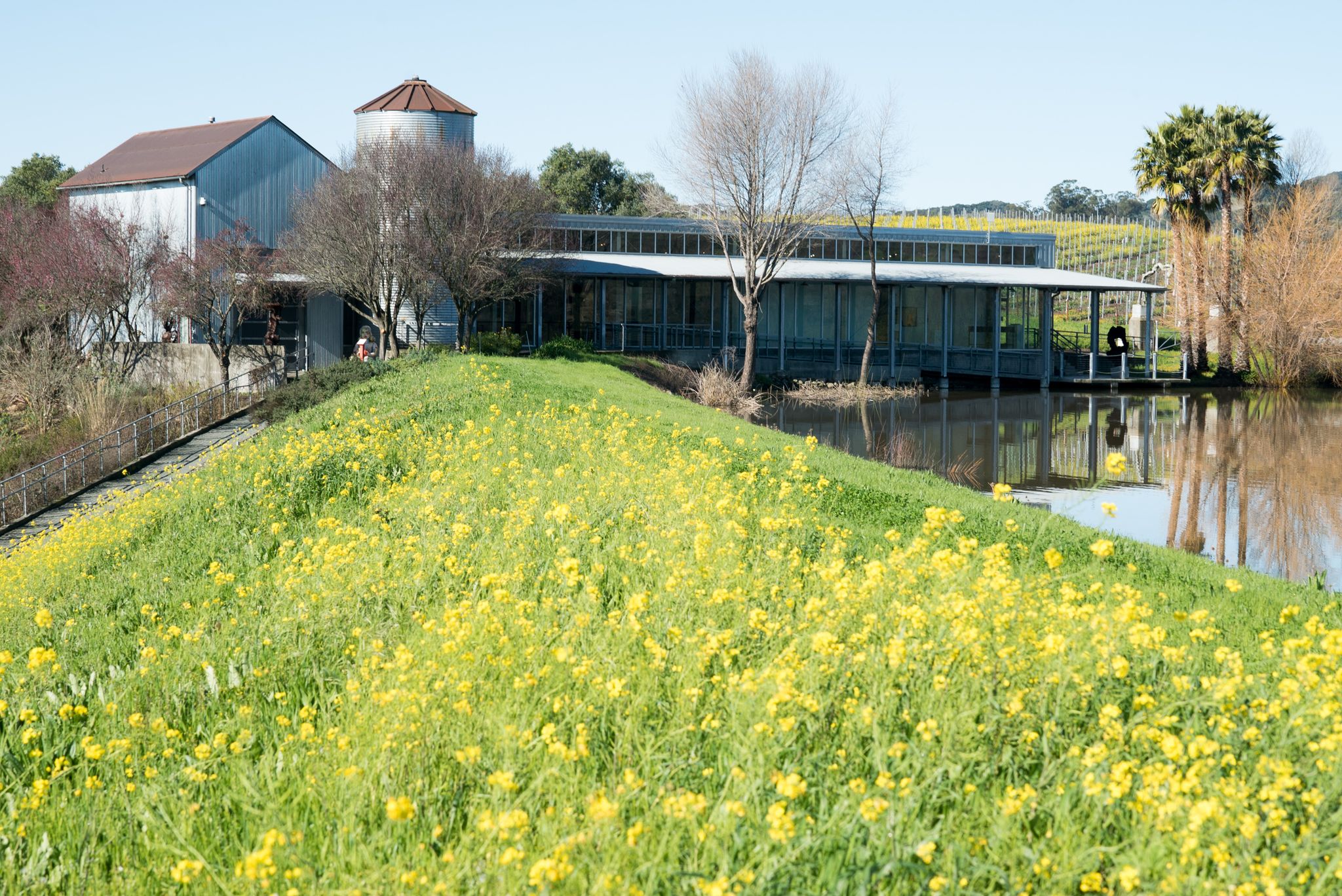 Proud Boys supporter draws backlash over upcoming Bay Area concert