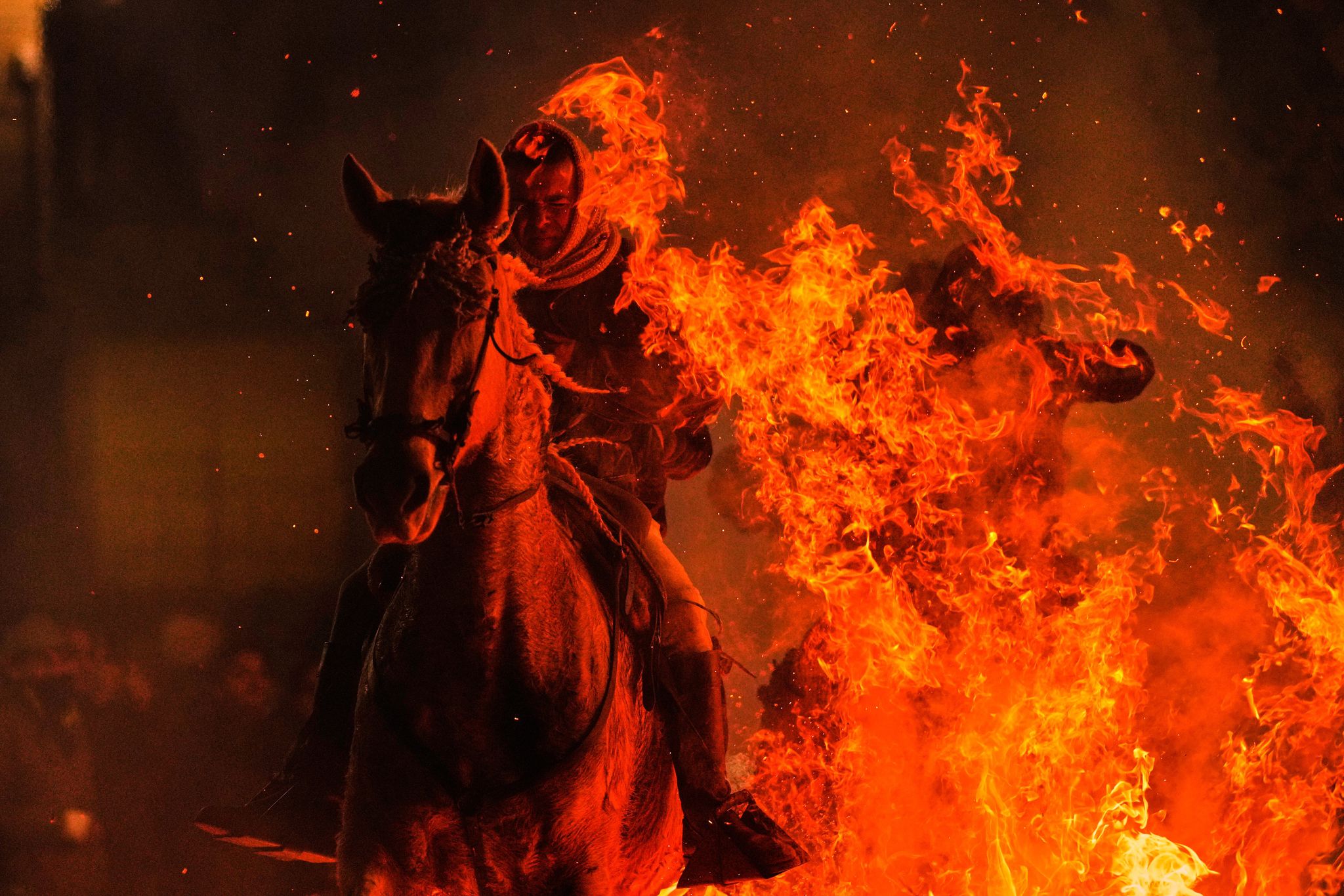 Horses leap through flames and pets go to church in Spanish animal ...