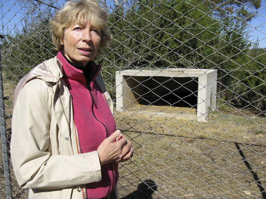 Wildlife Rescue & Rehabilitation puts animals first