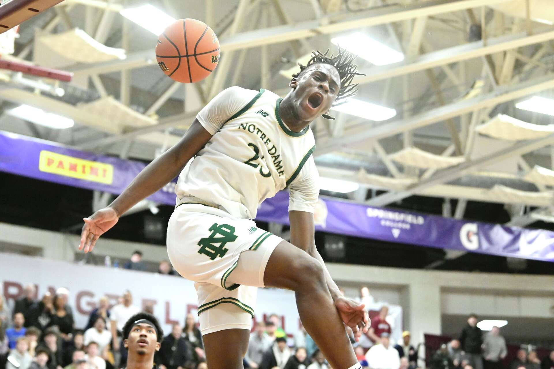 CT boys, girls basketball players nominated to play in McDonald's game