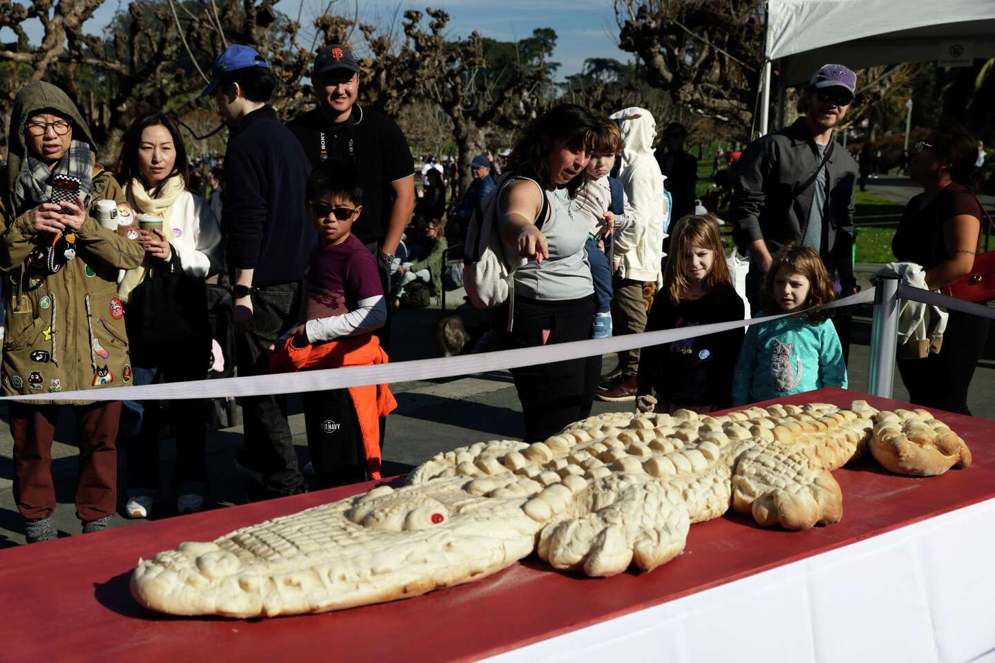 ‘Coolest reptile ever’: Claude the albino alligator memorialized