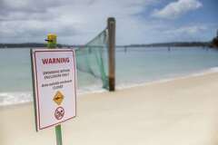 Man and boy critical after three shark attacks in Sydney in just over ...