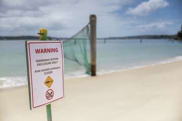 Man and boy critical after three shark attacks in Sydney in just over ...