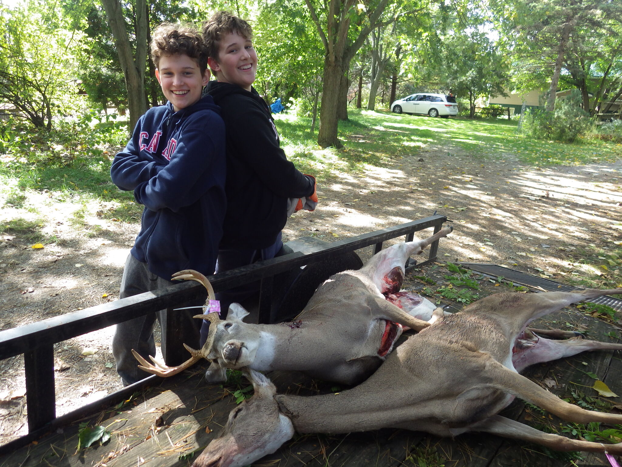 Te'Jon Sawyer, Money Williams lead Montana to 98-72 romp over Northern ...