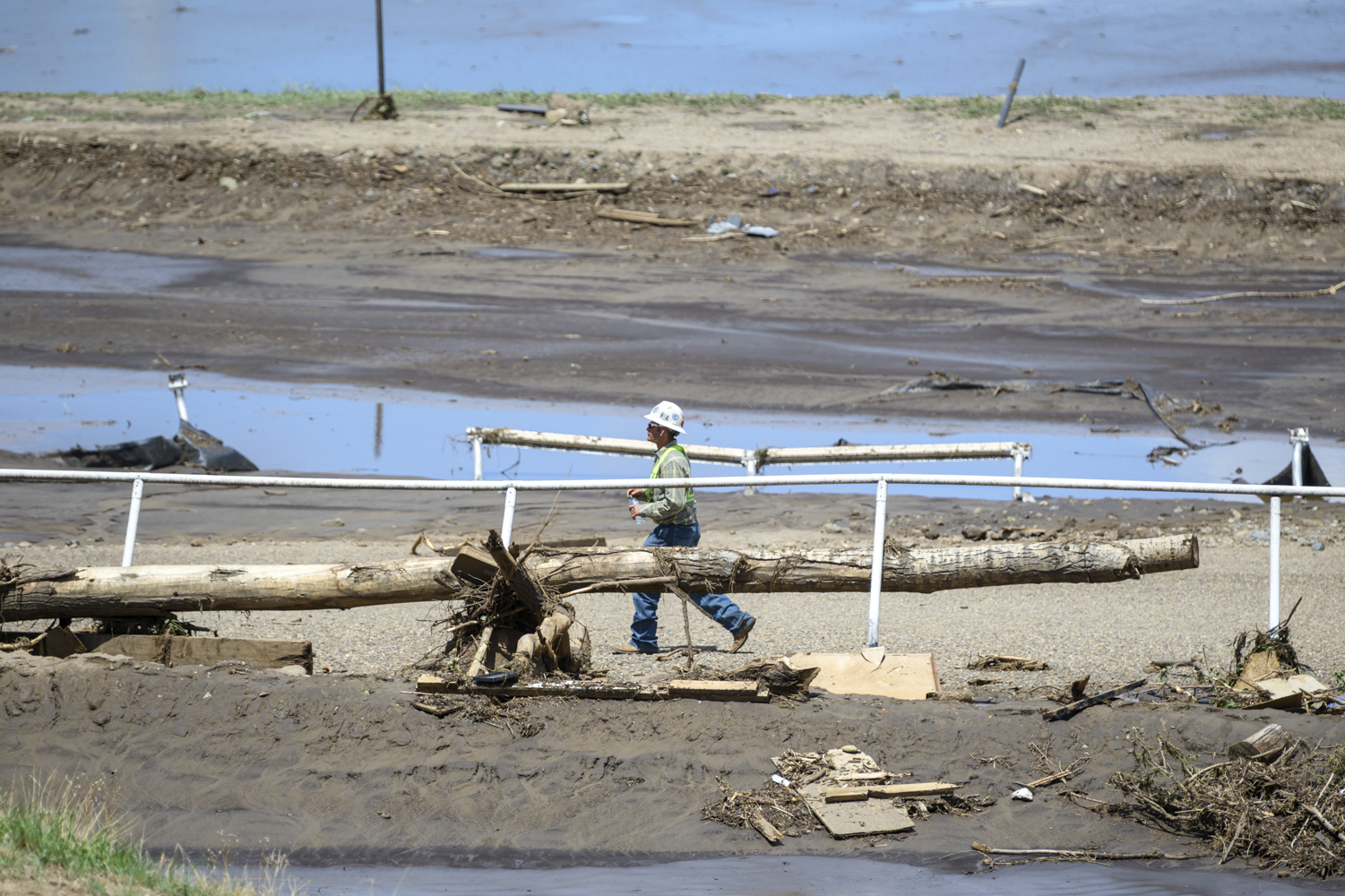 Former Michigan State player and director of hockey operations Dan ...