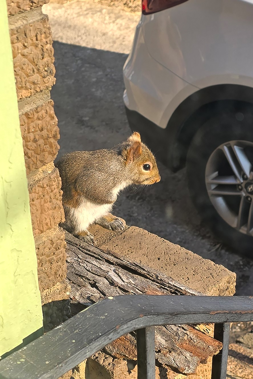Denver Anglin's 22 lead Iona over Merrimack 61-60