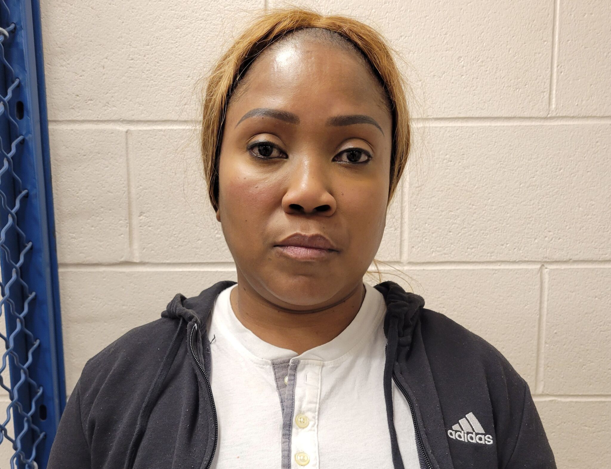 Actor Melissa Gilbert among witnesses at New Mexico detention hearing ...