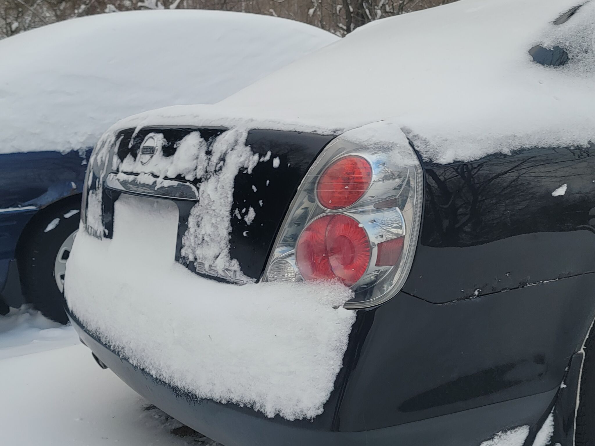 Kleven, Stutzle score early as Senators beat Blue Jackets 4-1