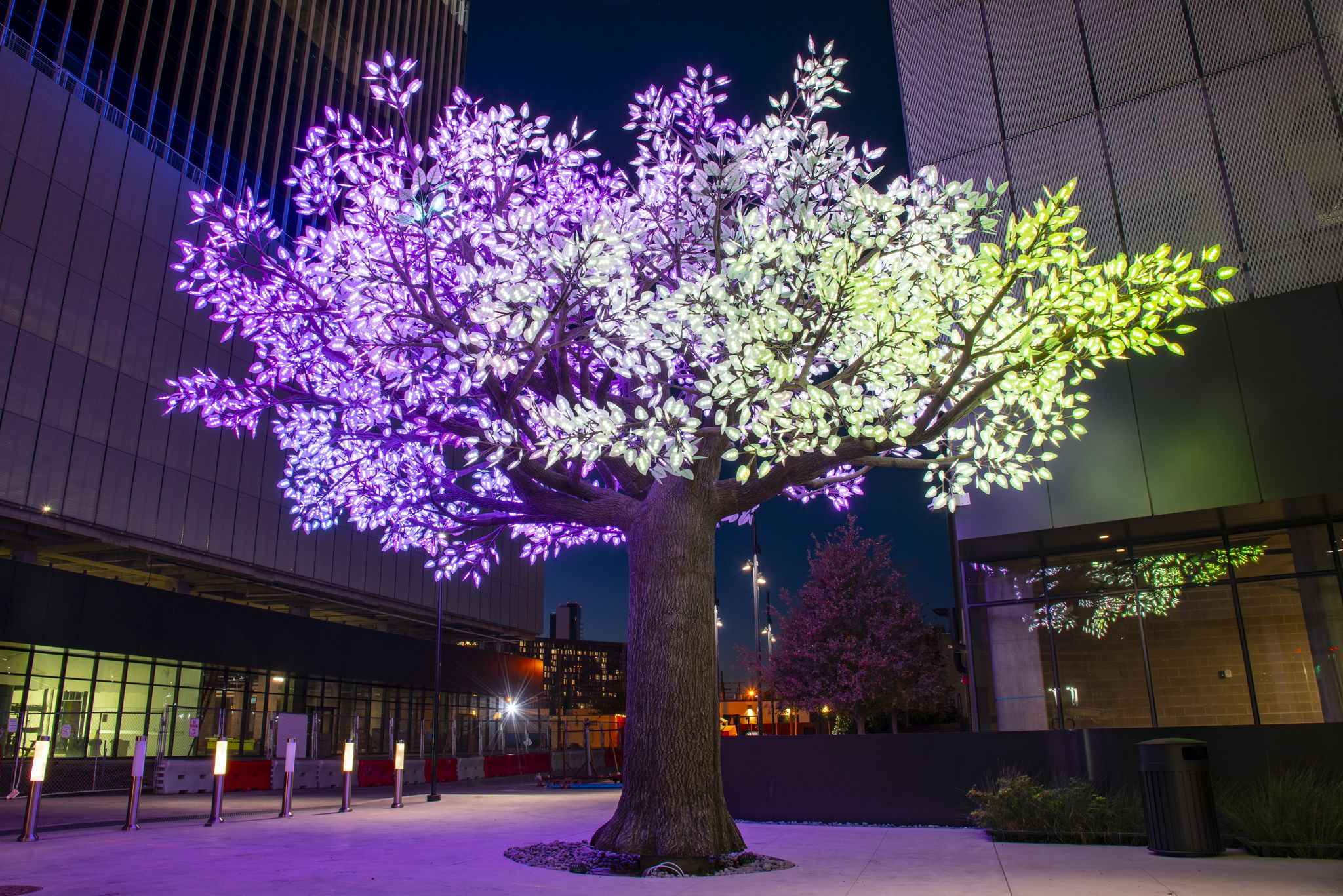 Deep Ellum's new selfie hotspot is the glowy Tree of Ténéré at The Epic