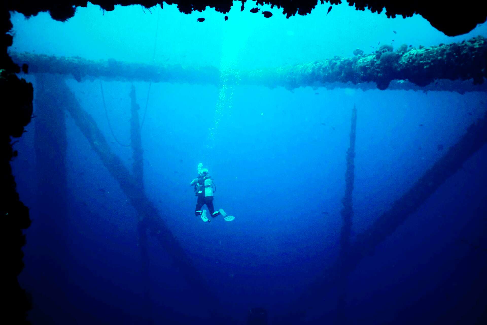 Texas artificial reef development bill being weighed by Congress