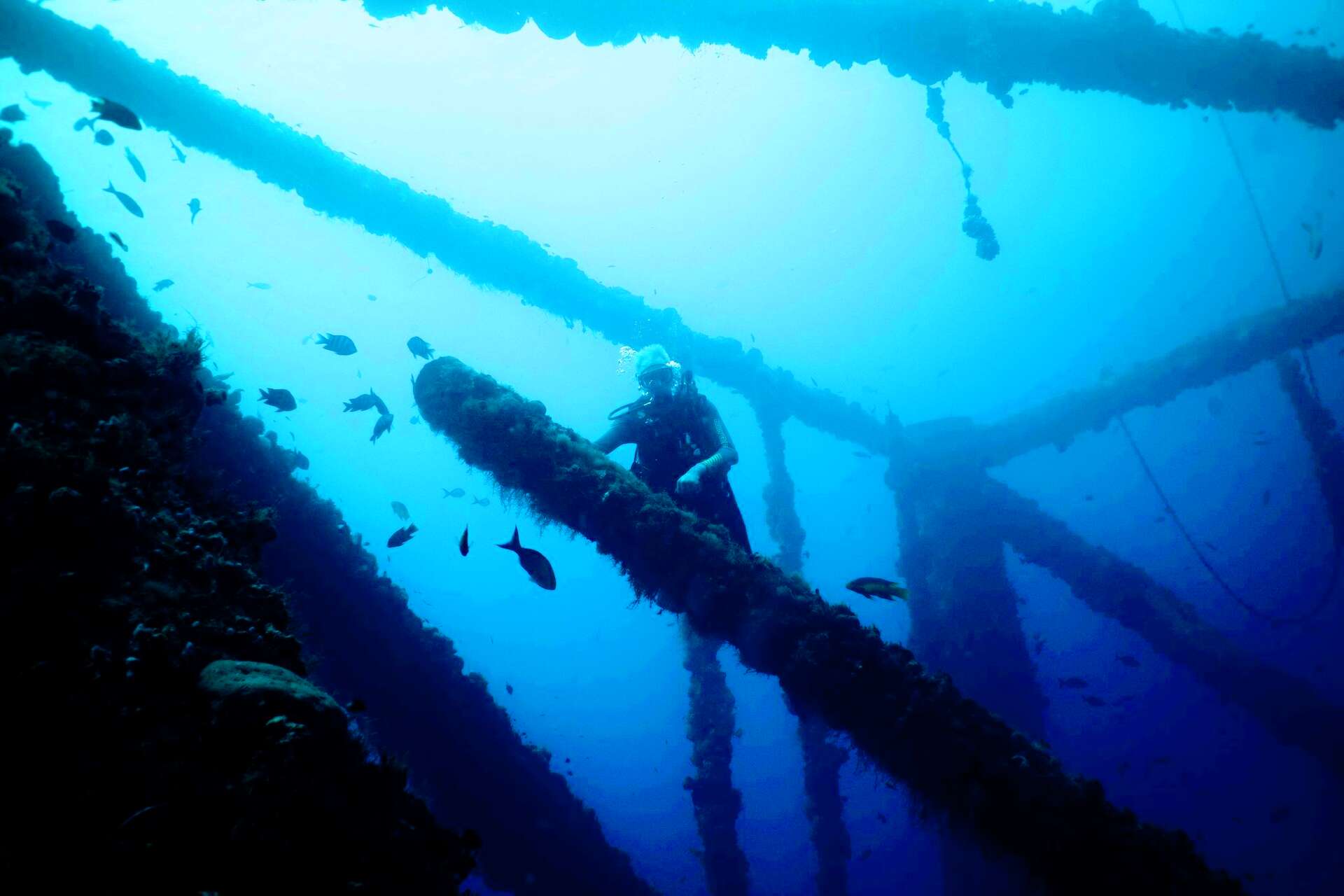 Texas artificial reef development bill being weighed by Congress