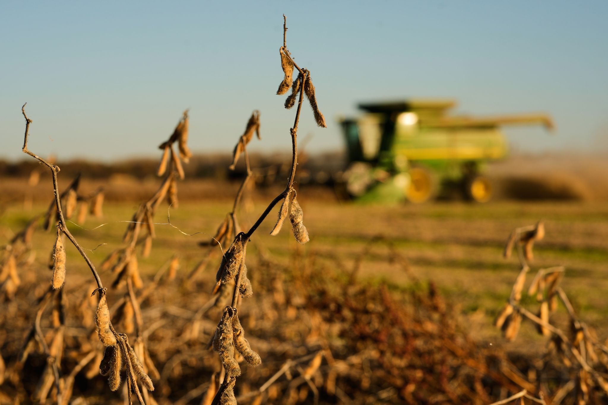 China meets initial soybean purchase goal, but Trump's shifting trade ...