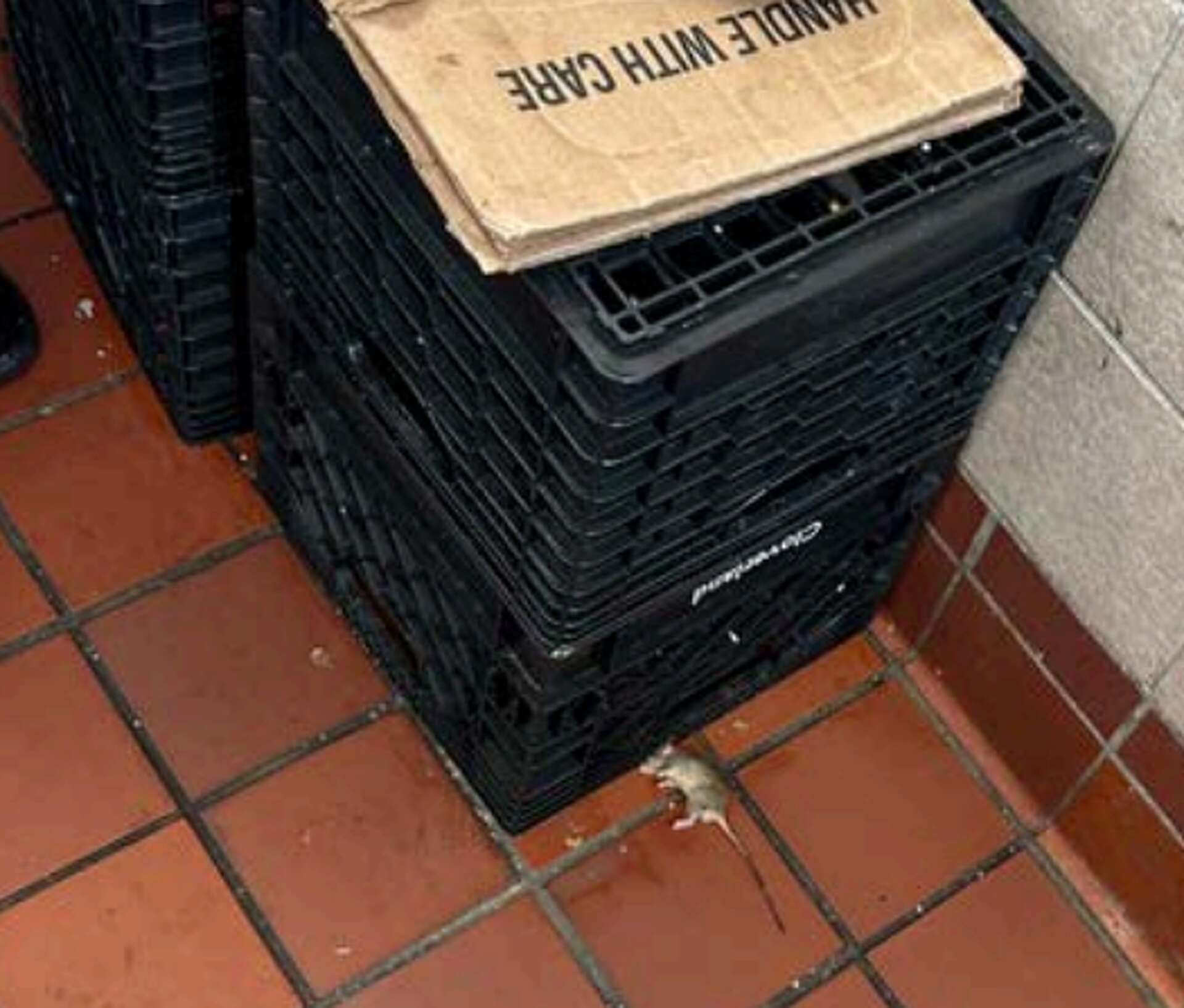 'Recurring failures' in CT prisons pose health, safety risks: Report