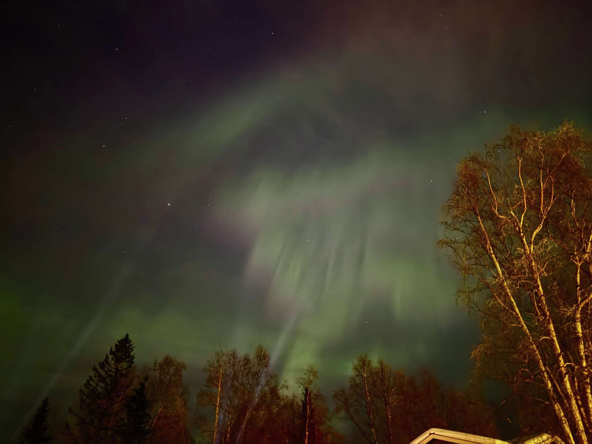 Aurora lights up Alaska skies with stunning green and red display
