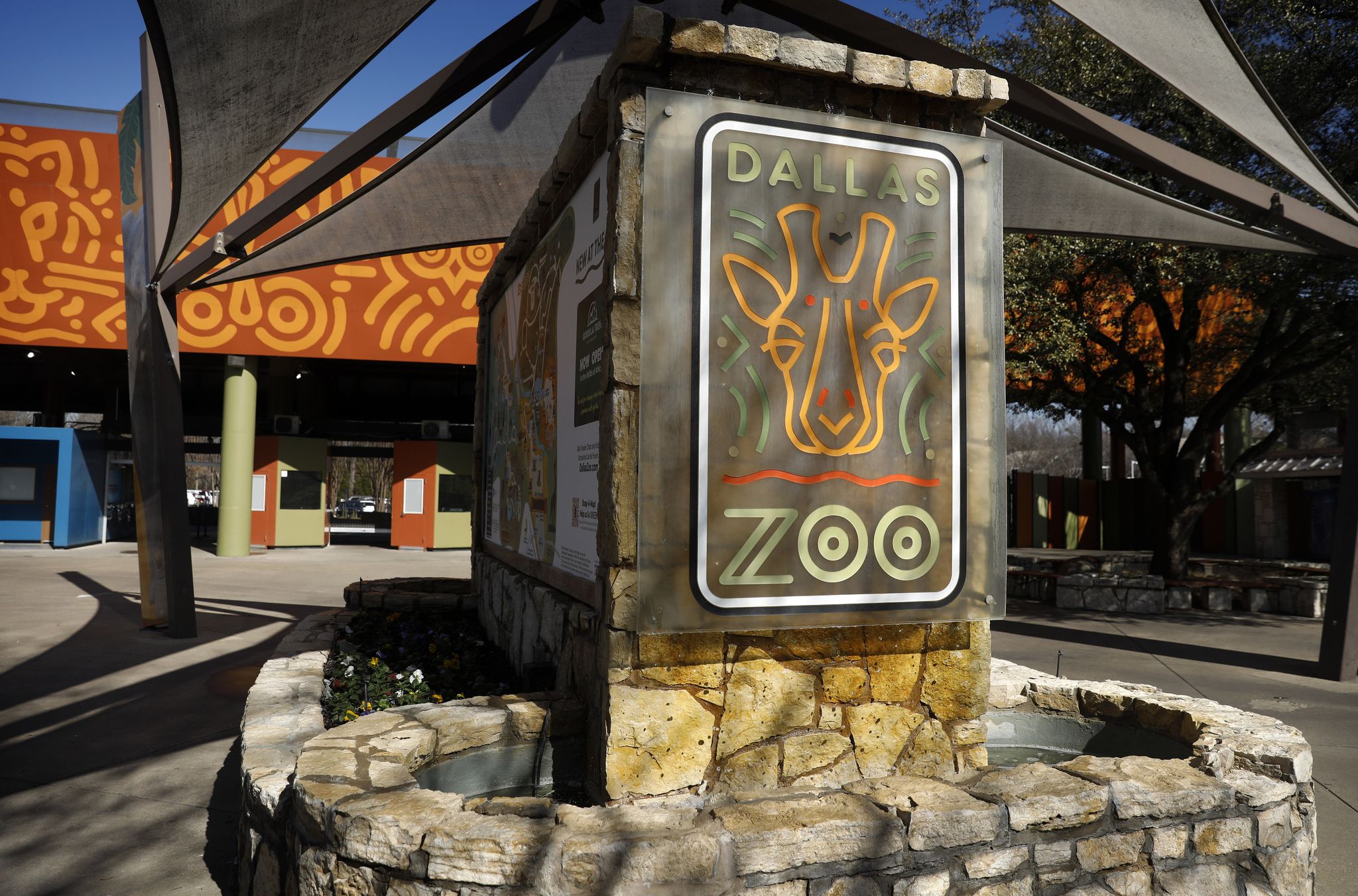 Privately run zoos: What does it look like in Dallas and other zoos ...