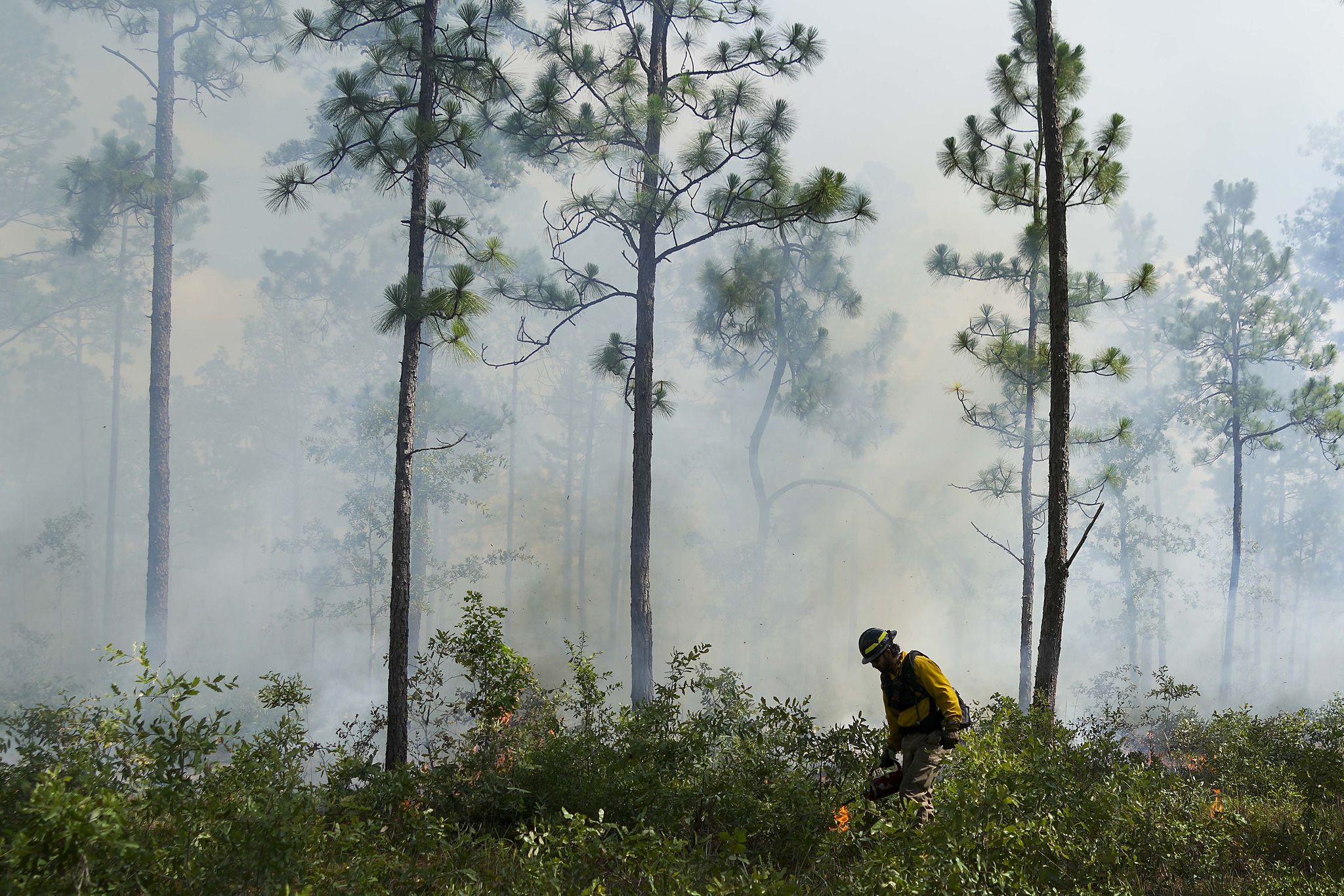 Dallas weather: wildfire threat Thursday before cold snap