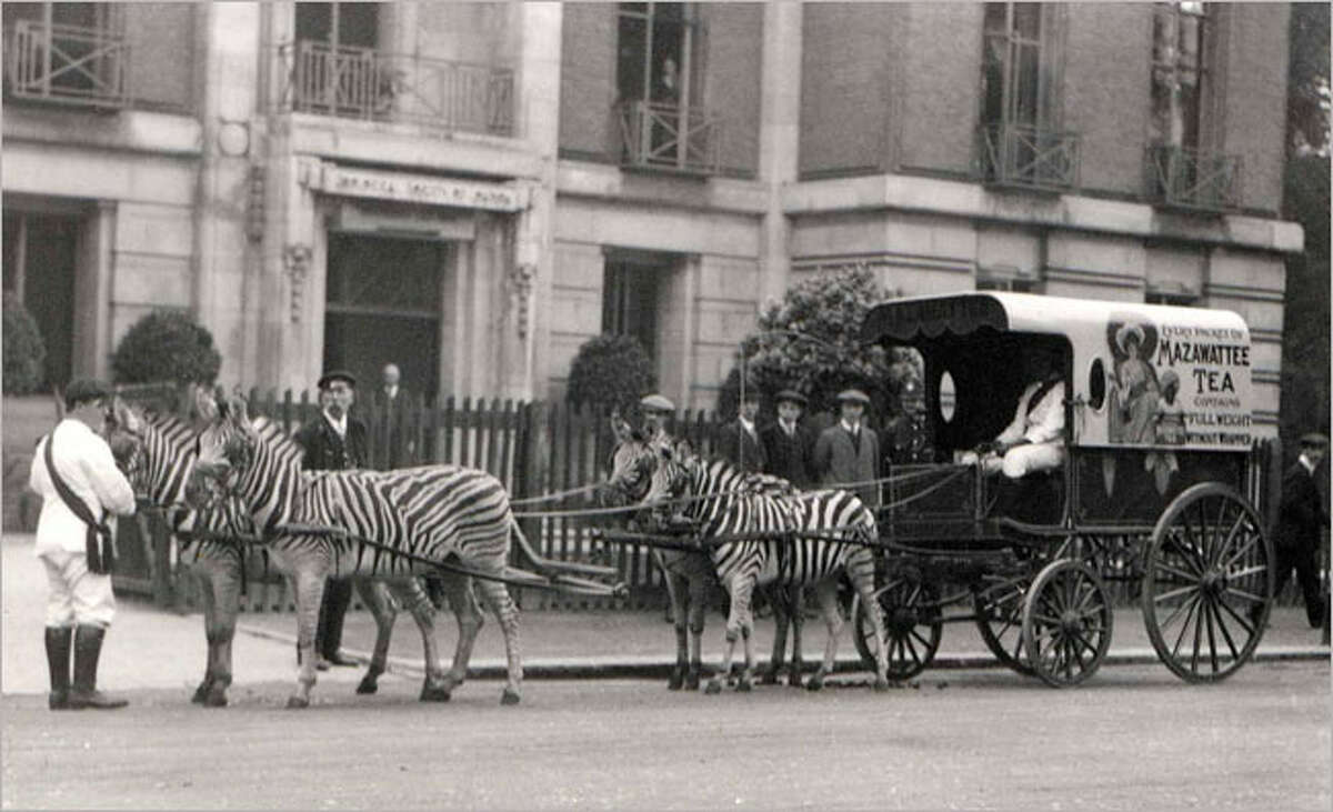 Horse-drawn carriages