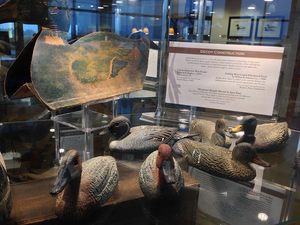 Luke Altmyer: 3 facts on the Illinois football quarterback