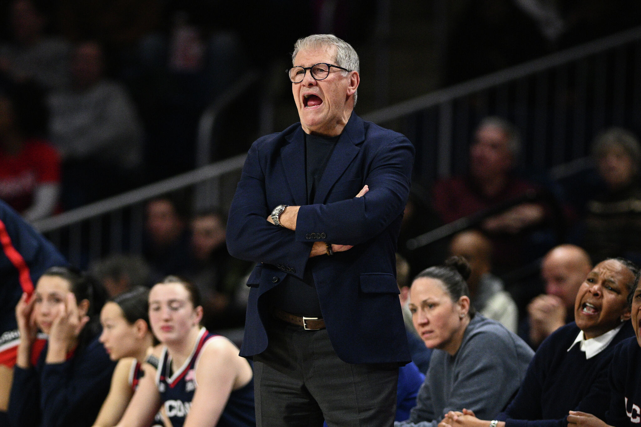 Grains mostly lower, livestock mixed