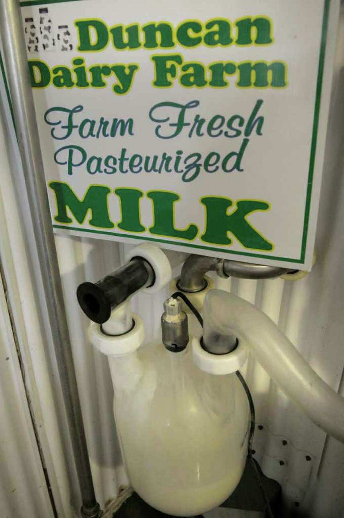 Small local dairy farms find success