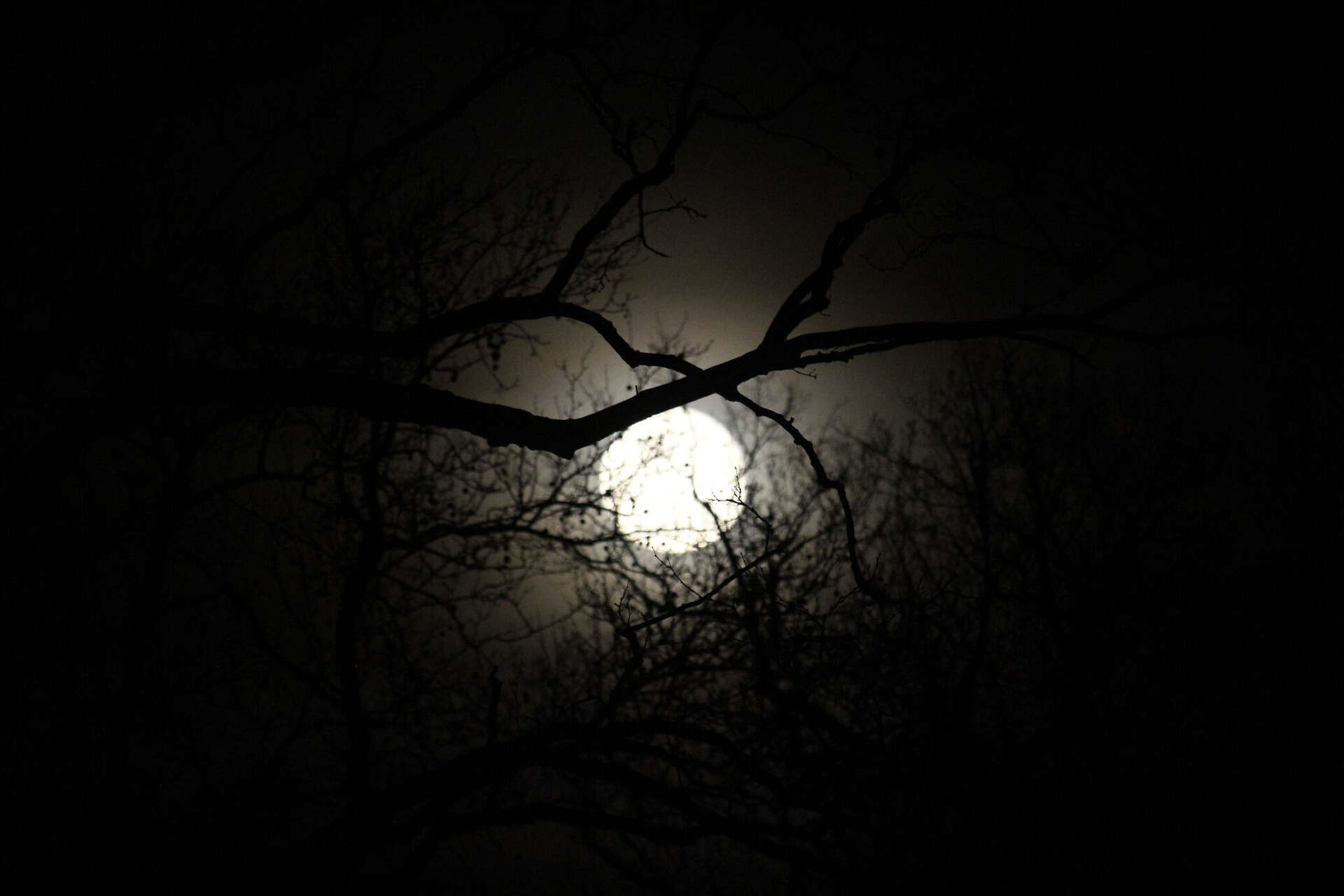 Horoscope for Sunday, 2/1/26 by Georgia Nicols