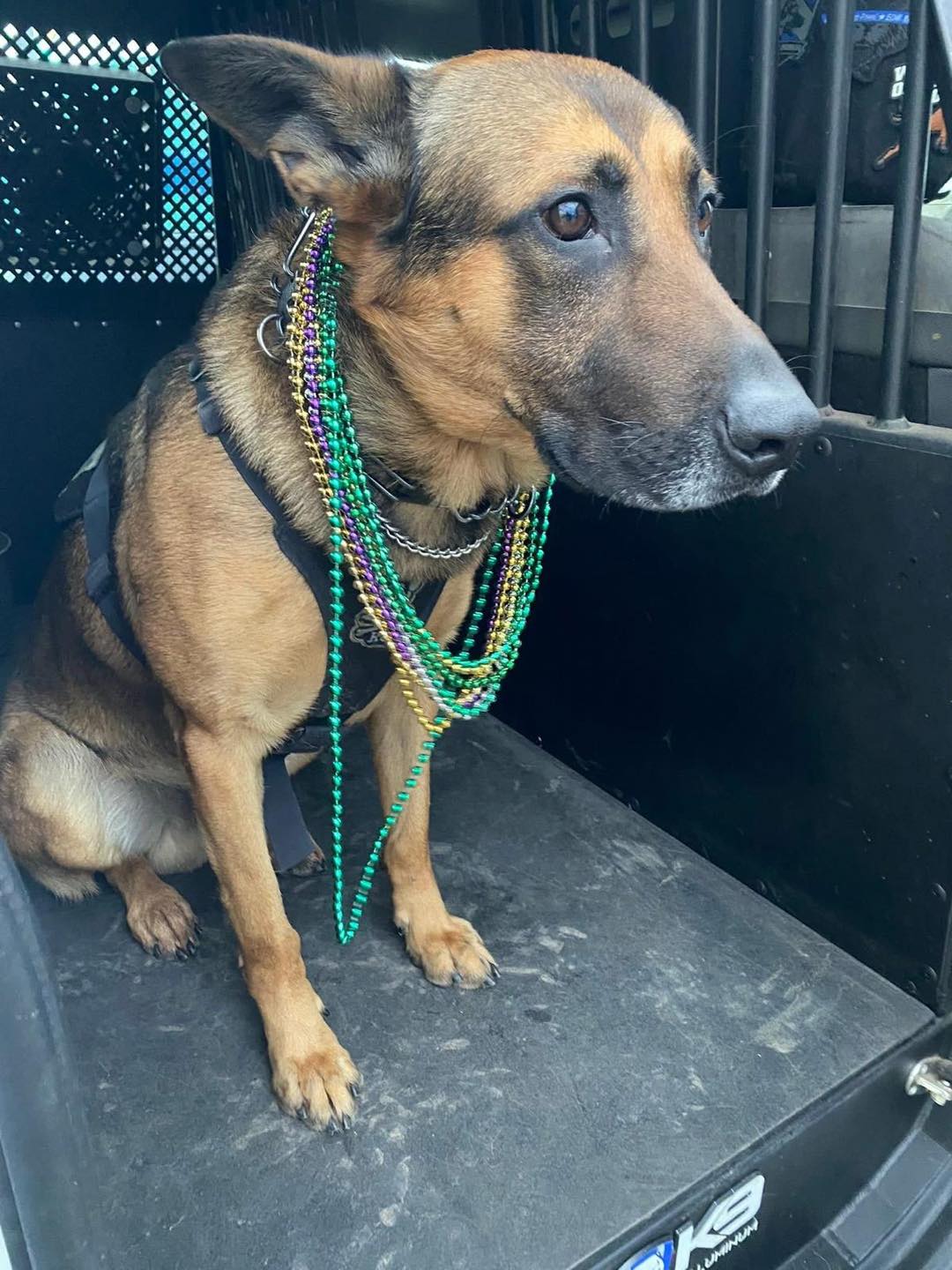 Koepka is excited to be back on the PGA Tour. It comes with nervousness ...