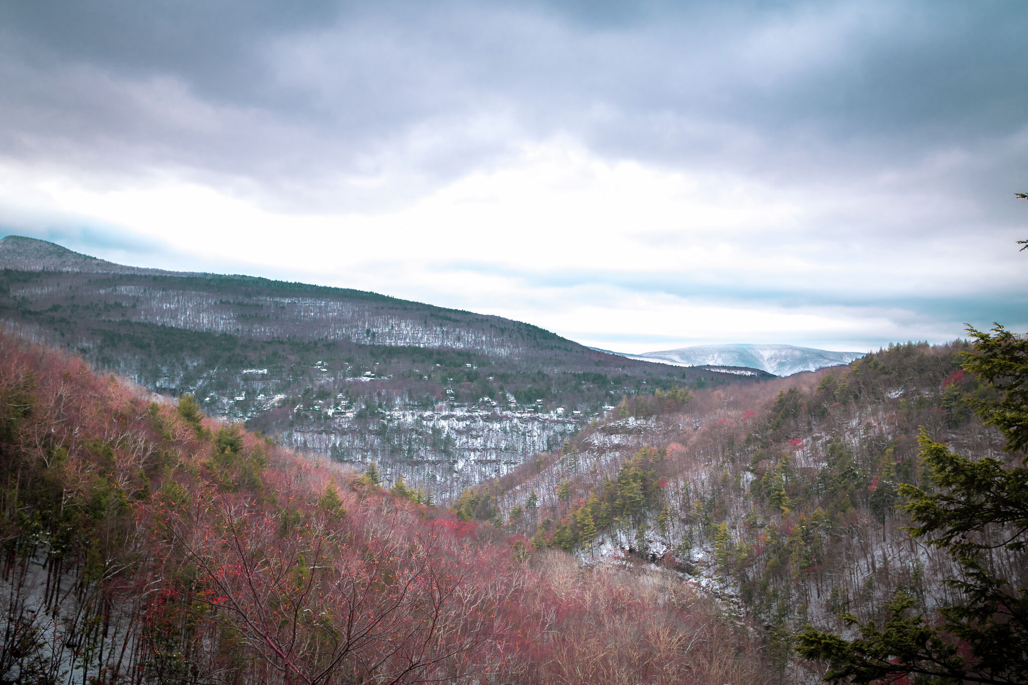 Edin Džeko repays jubilant welcome by scoring on his Schalke debut