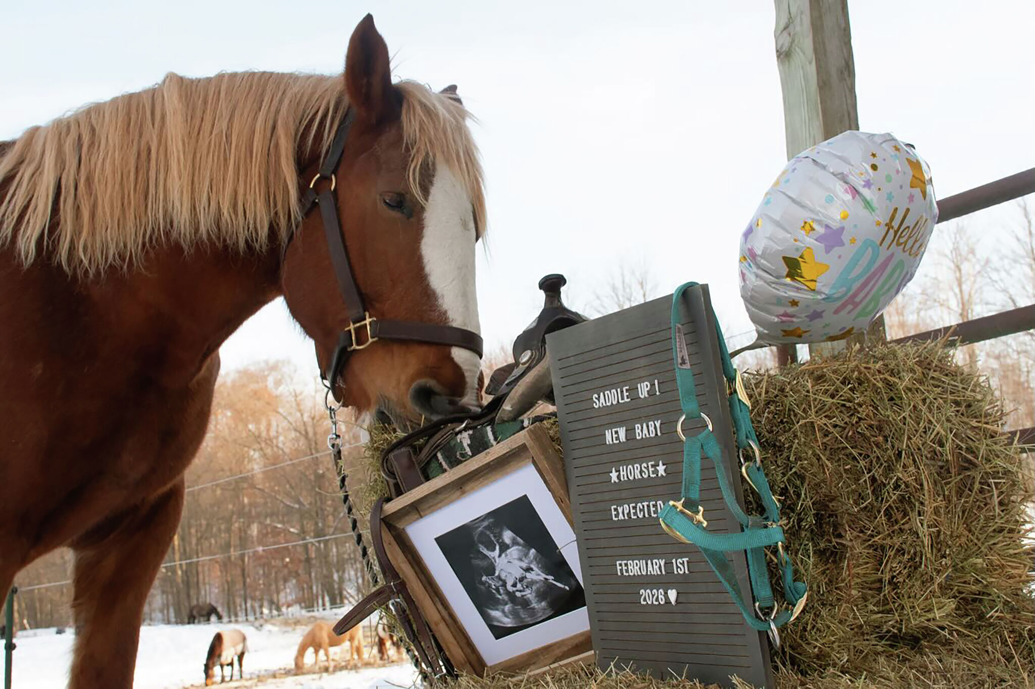Explosion at cookie factory in central Greece kills at least 4