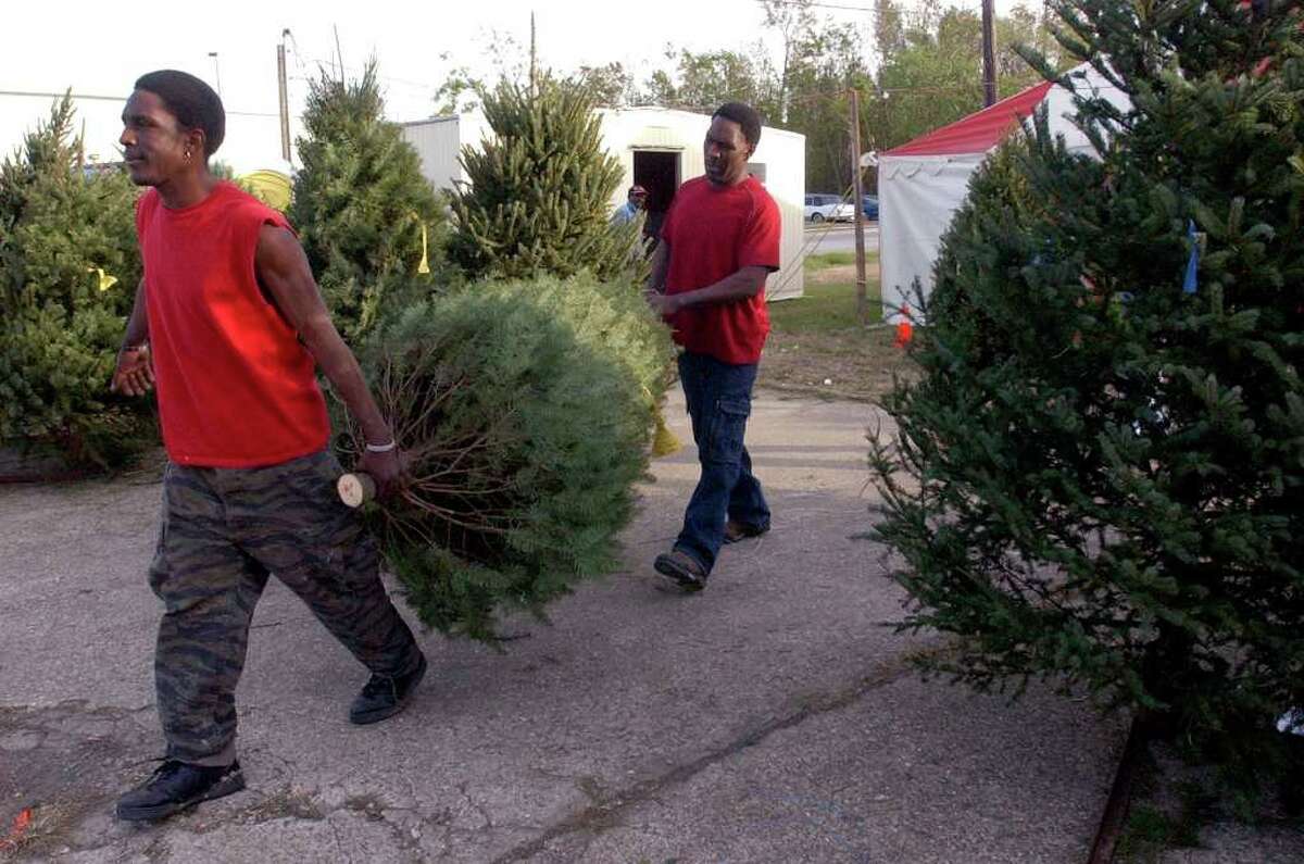 Photos of Holidays Past: Part 1