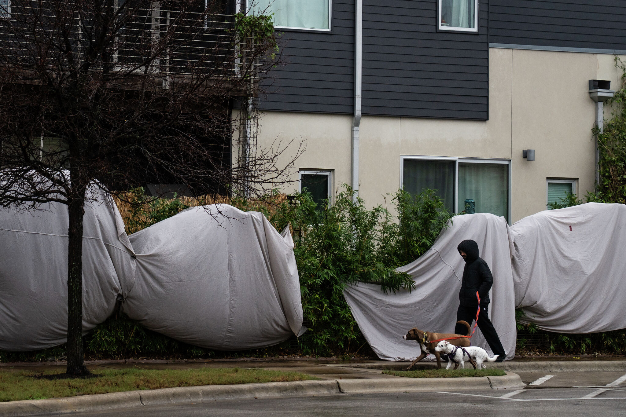 Texas basketball vs Kentucky game score: Replay coverage, highlights