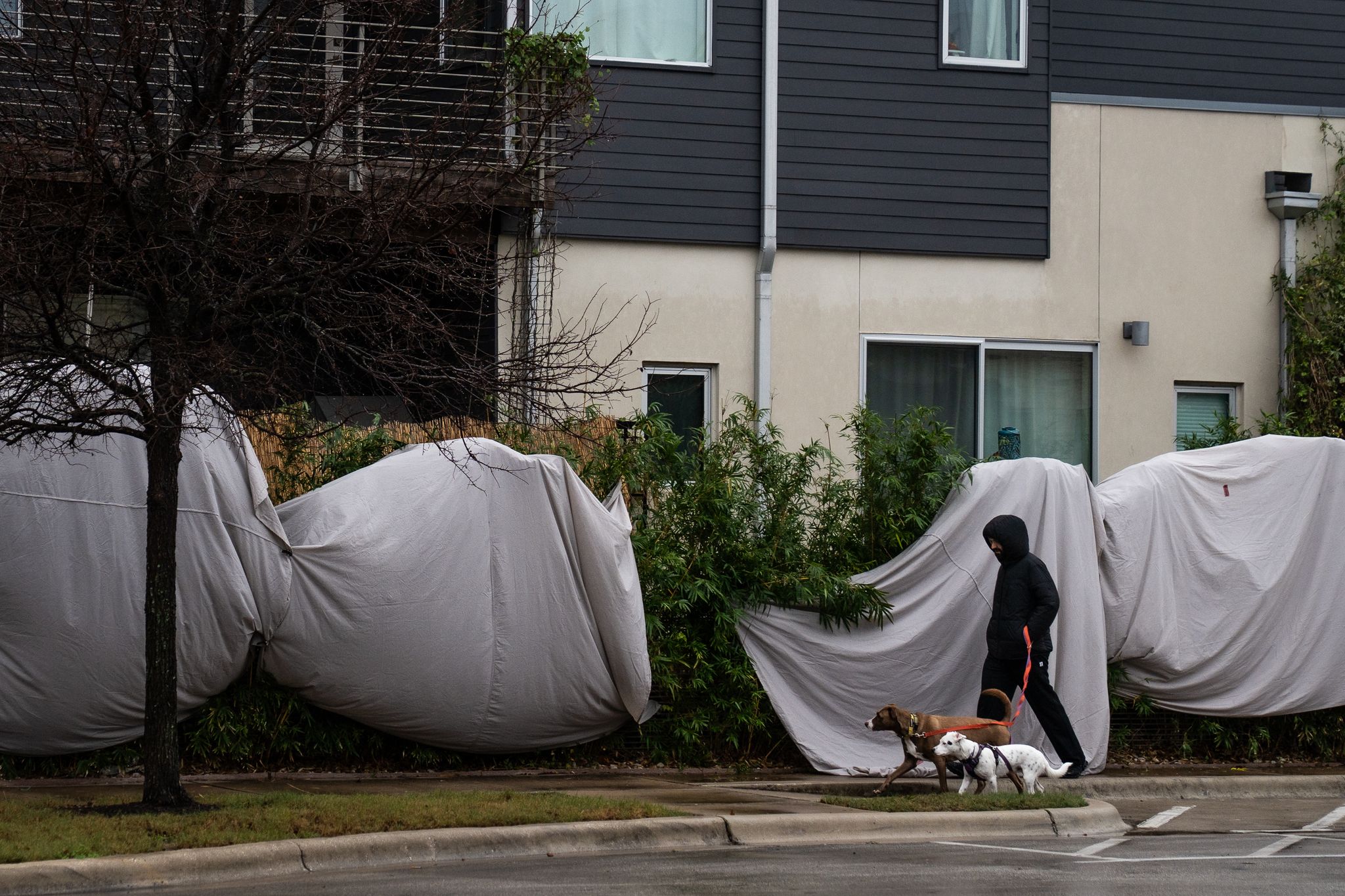 Democrats in Texas Senate race call for ICE overhaul, hours after ...