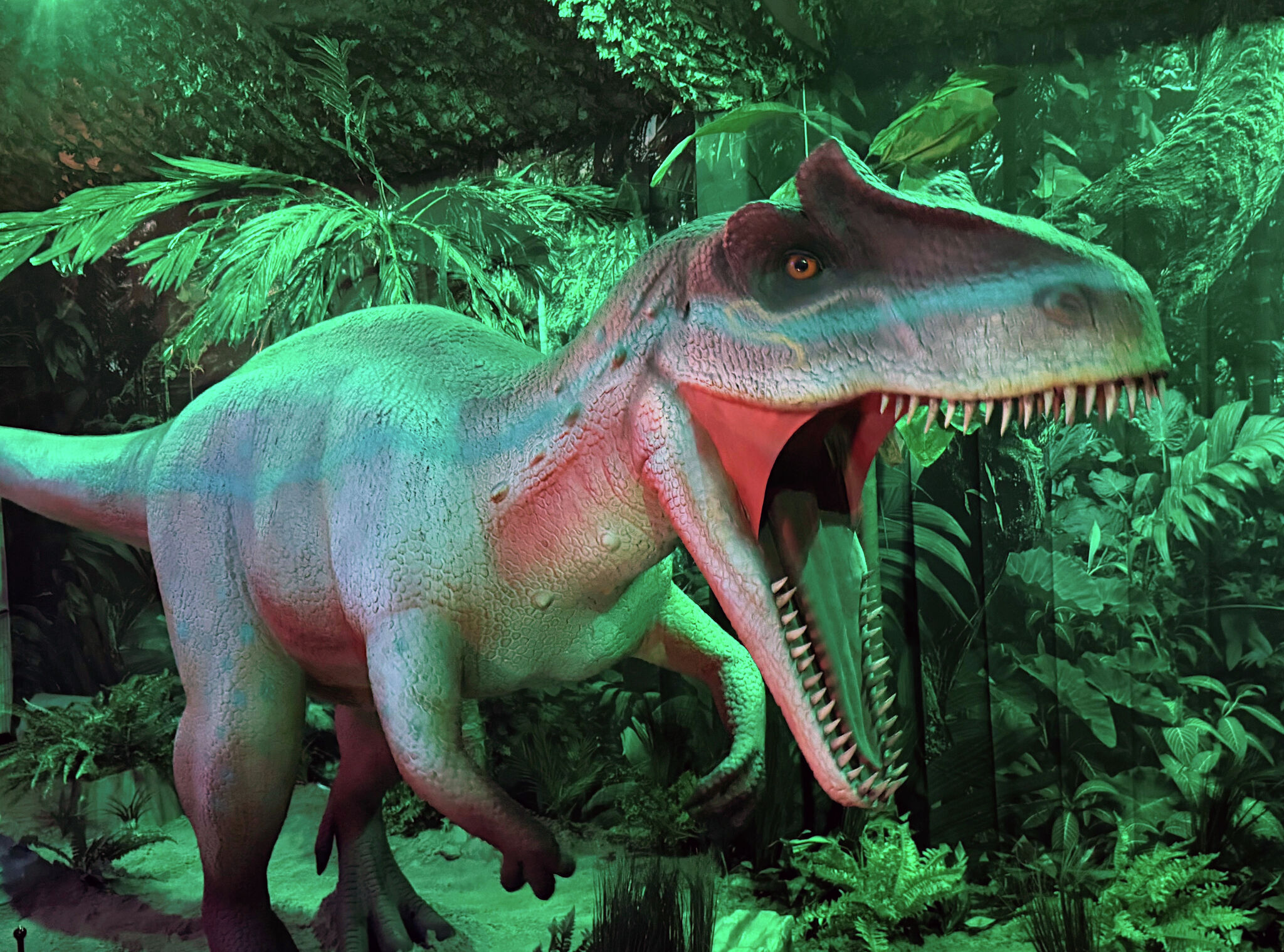 Kevin Huerter's buzzer-beater lifts Bulls past Celtics before Derrick ...