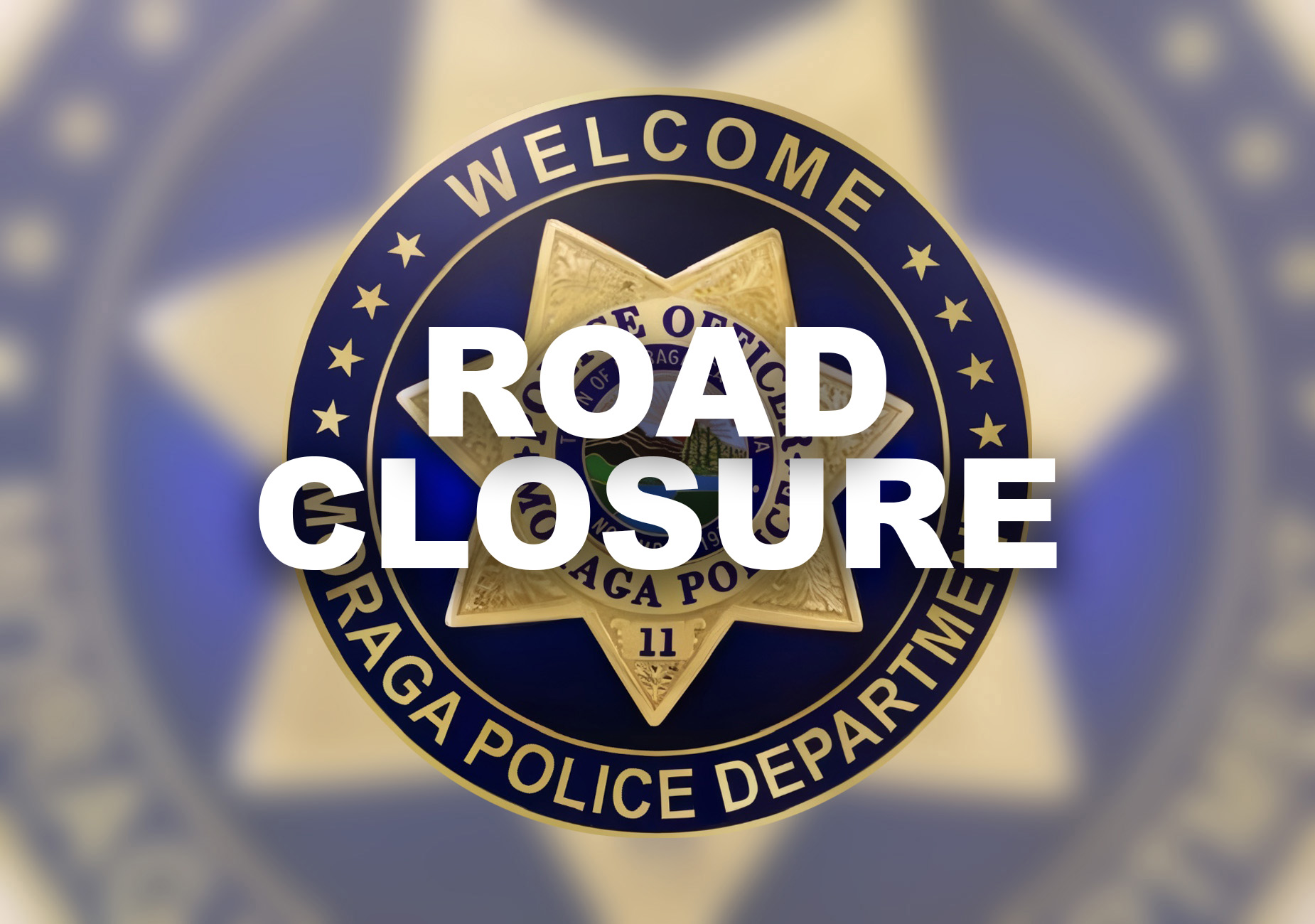 Moraga: Fallen Tree Cuts Power And Blocks Camino Pablo, Drivers Asked ...