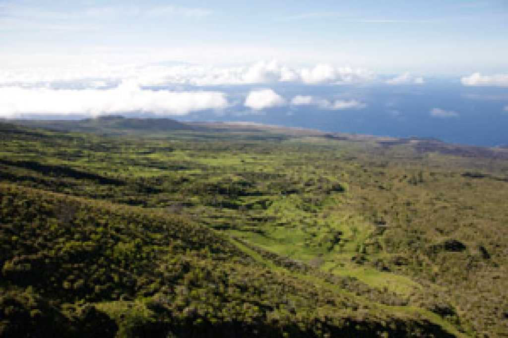 Maui creates Hawaii's largest conservation easement