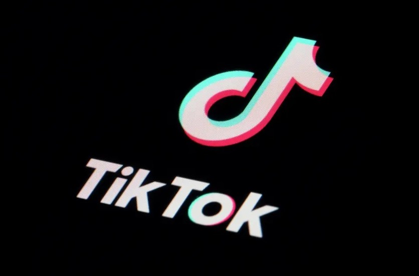 Edin Džeko repays jubilant welcome by scoring on his Schalke debut