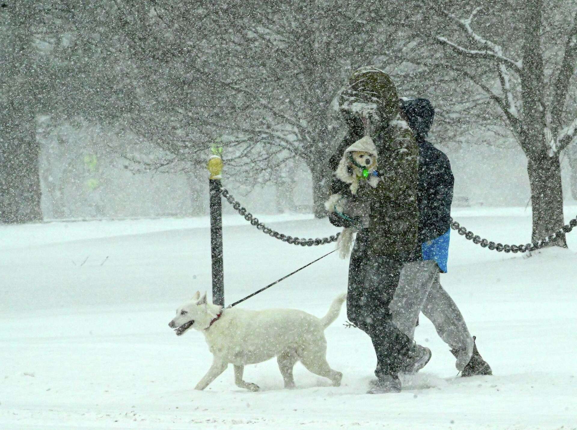 Monster snow storm slams upstate New York