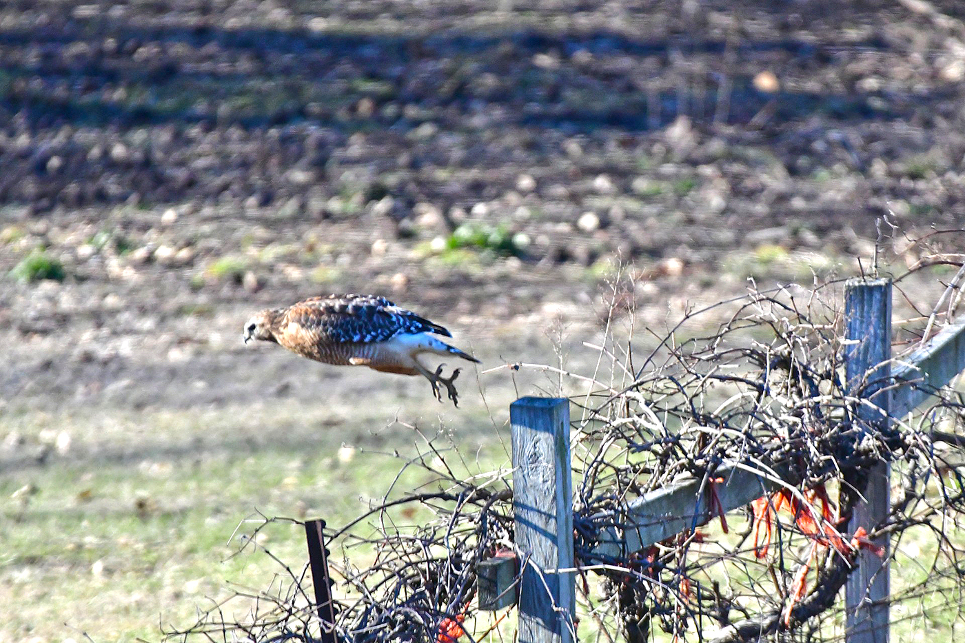 Winning numbers drawn in Sunday’s Washington Hit 5