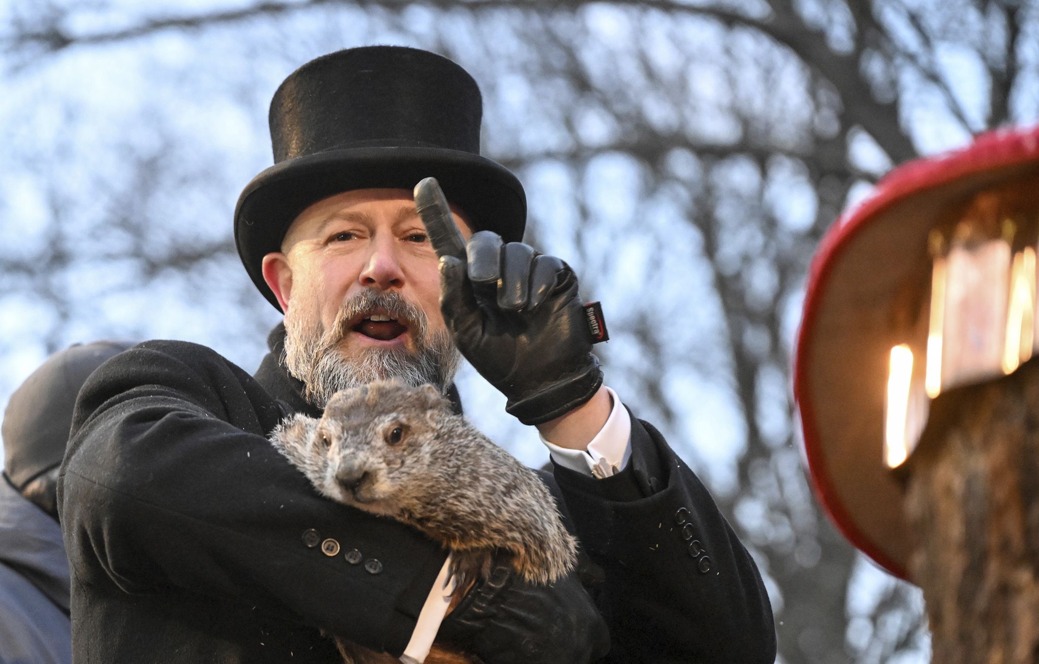 Cuándo el el Día de la Marmota: qué significa la sombra de Phil en ...