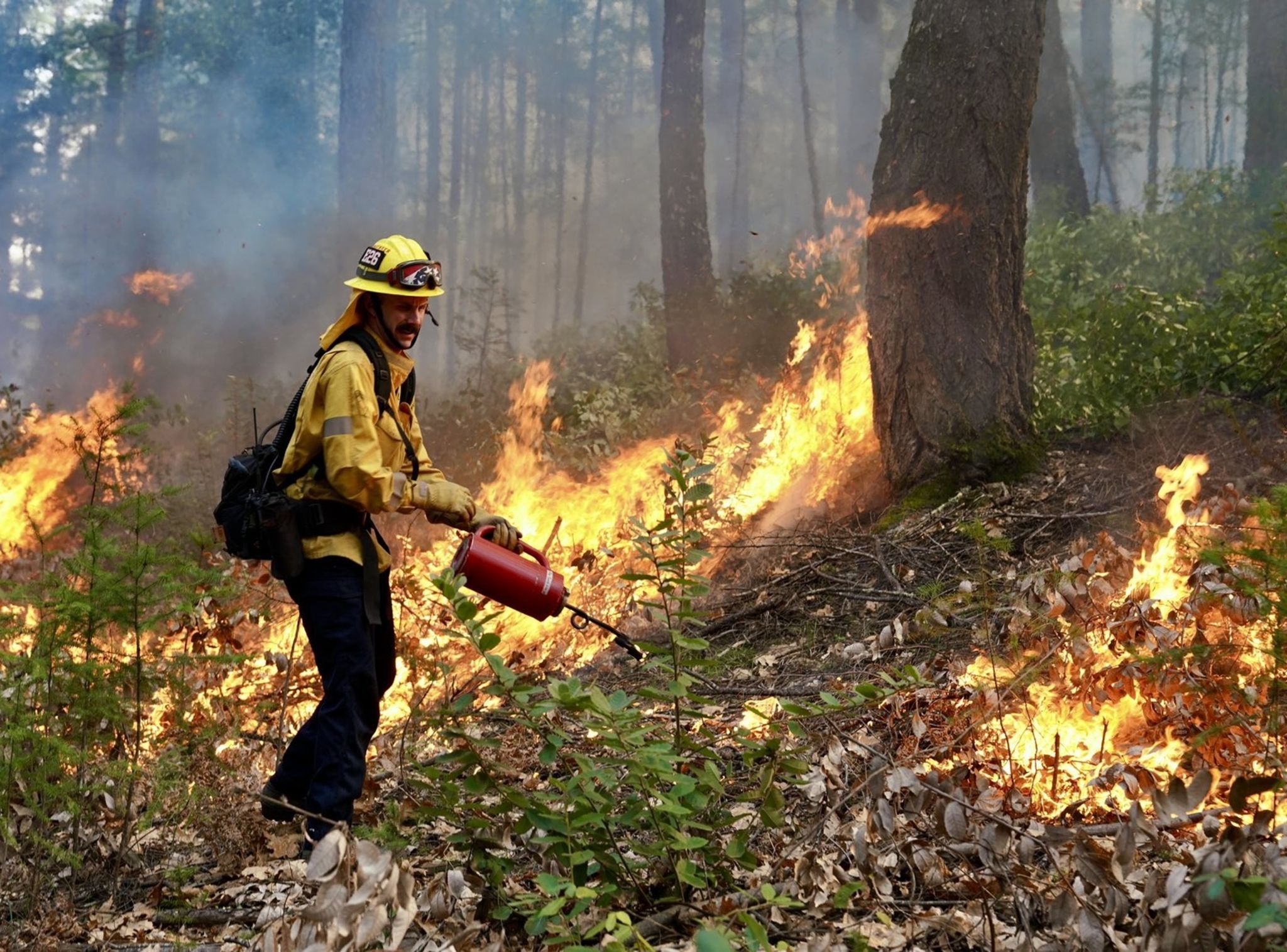 Napa Co.: Cal Fire Concludes Prescribed Burn In Las Posadas State Forest