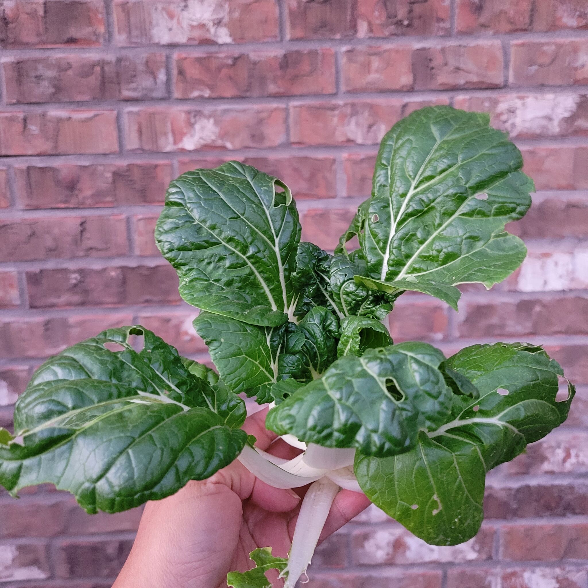 8 killed as passenger bus crashes in wet conditions in southern Turkey